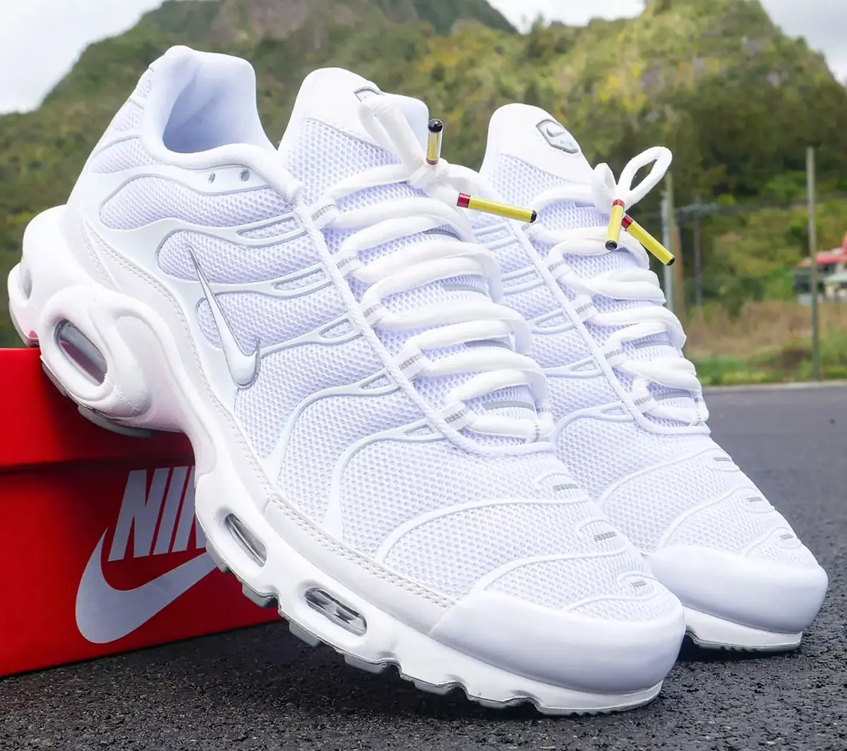 Tn Blanche-Air Max Plus - Sneakereu